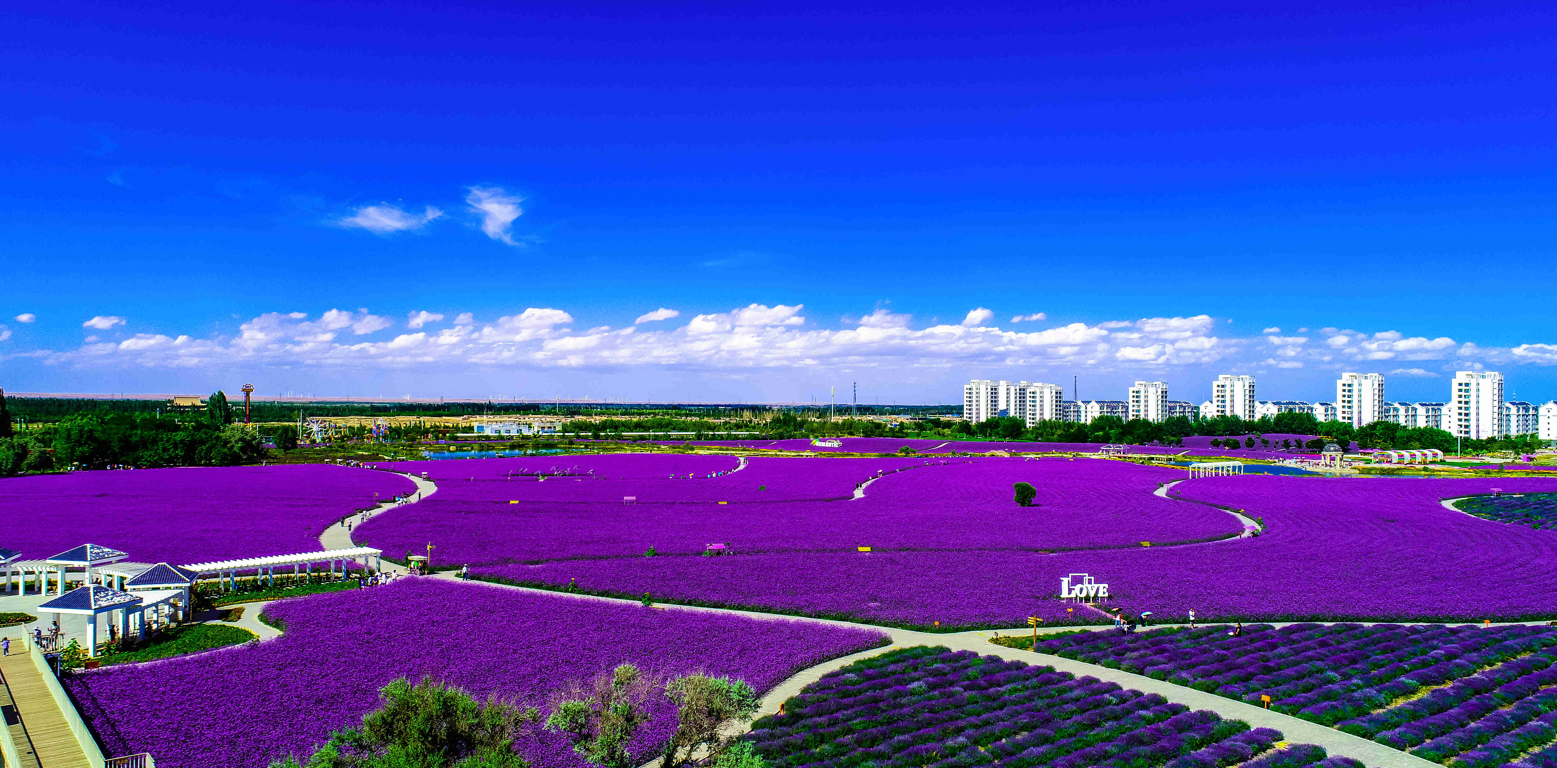 金昌市_金昌市_甘肃省人民政府门户